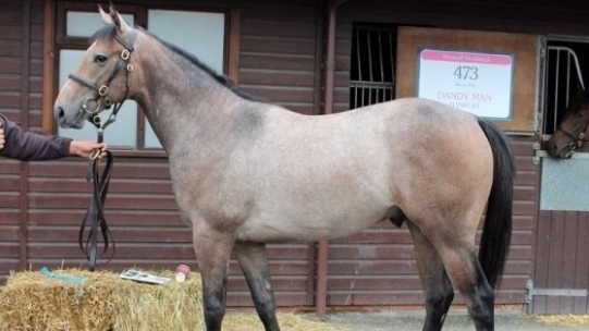 Tim Easterby | Racehorse Trainer | Habton Grange