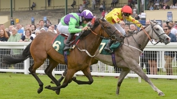 Tim Easterby | Racehorse Trainer | Habton Grange