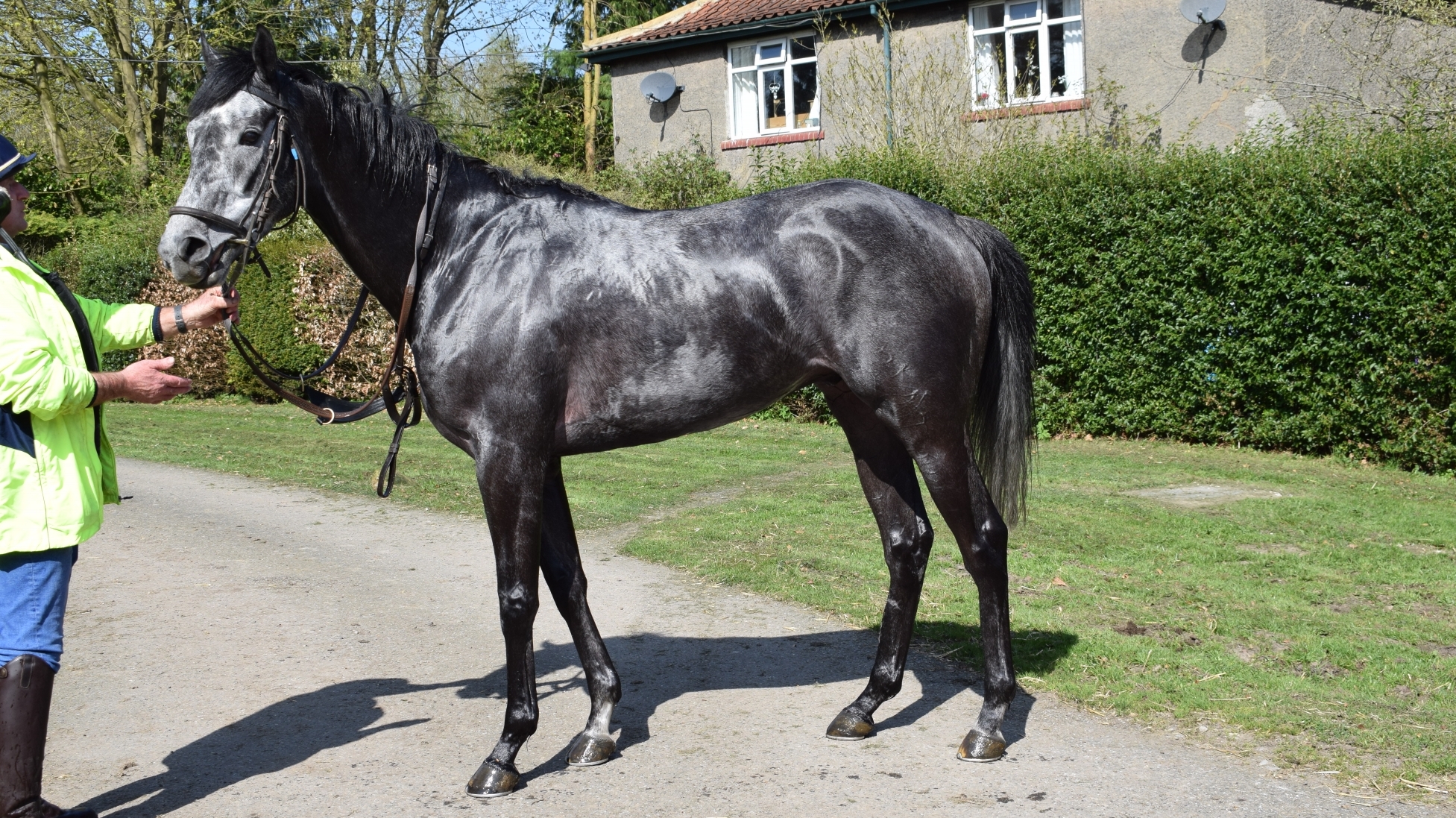 Tim Easterby | Racehorse Trainer | Habton Grange