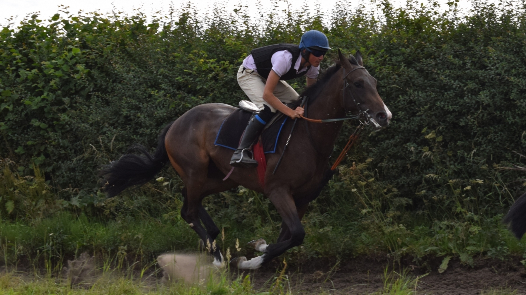 Tim Easterby | Racehorse Trainer | Habton Grange