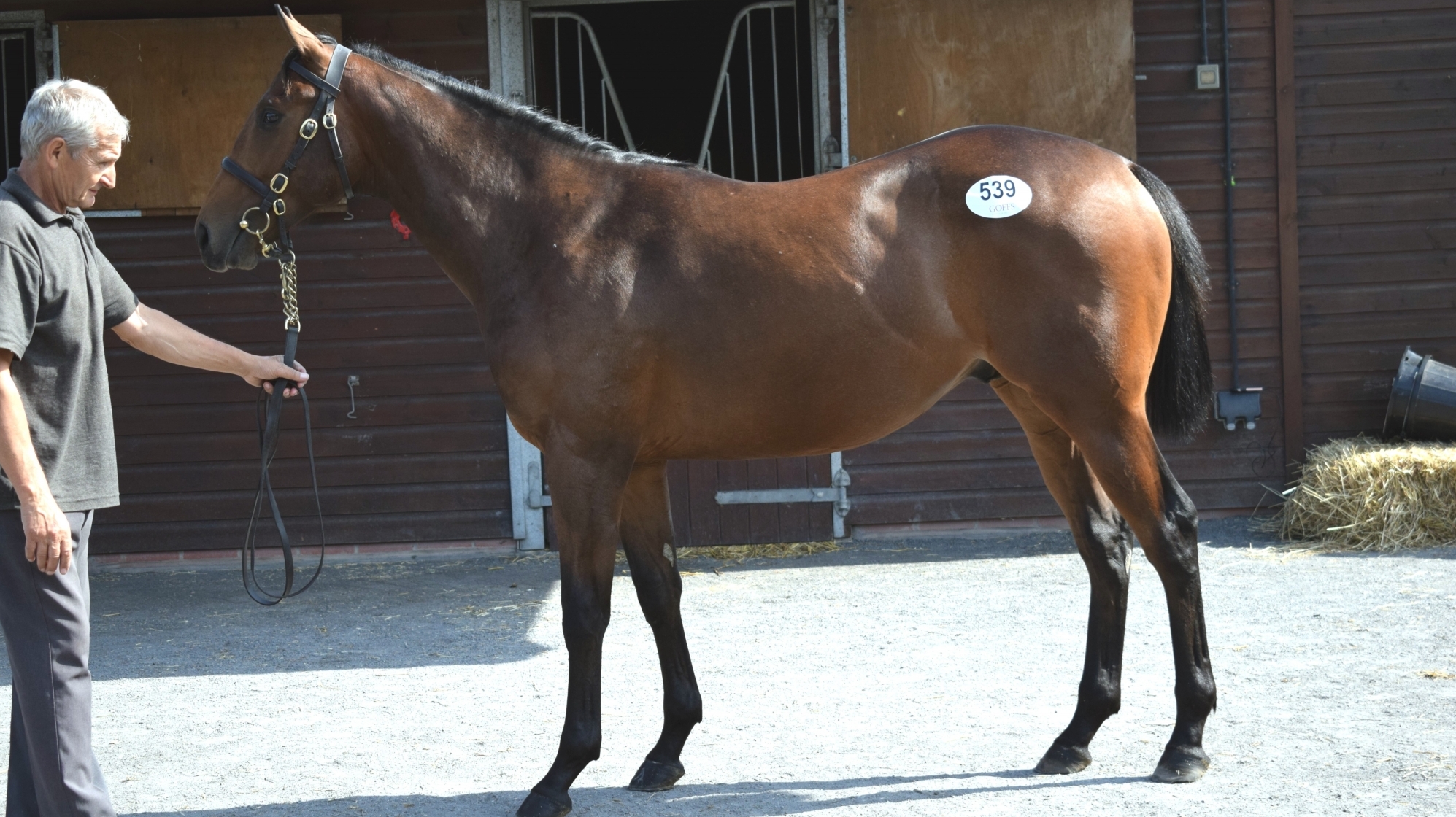 Tim Easterby | Racehorse Trainer | Habton Grange