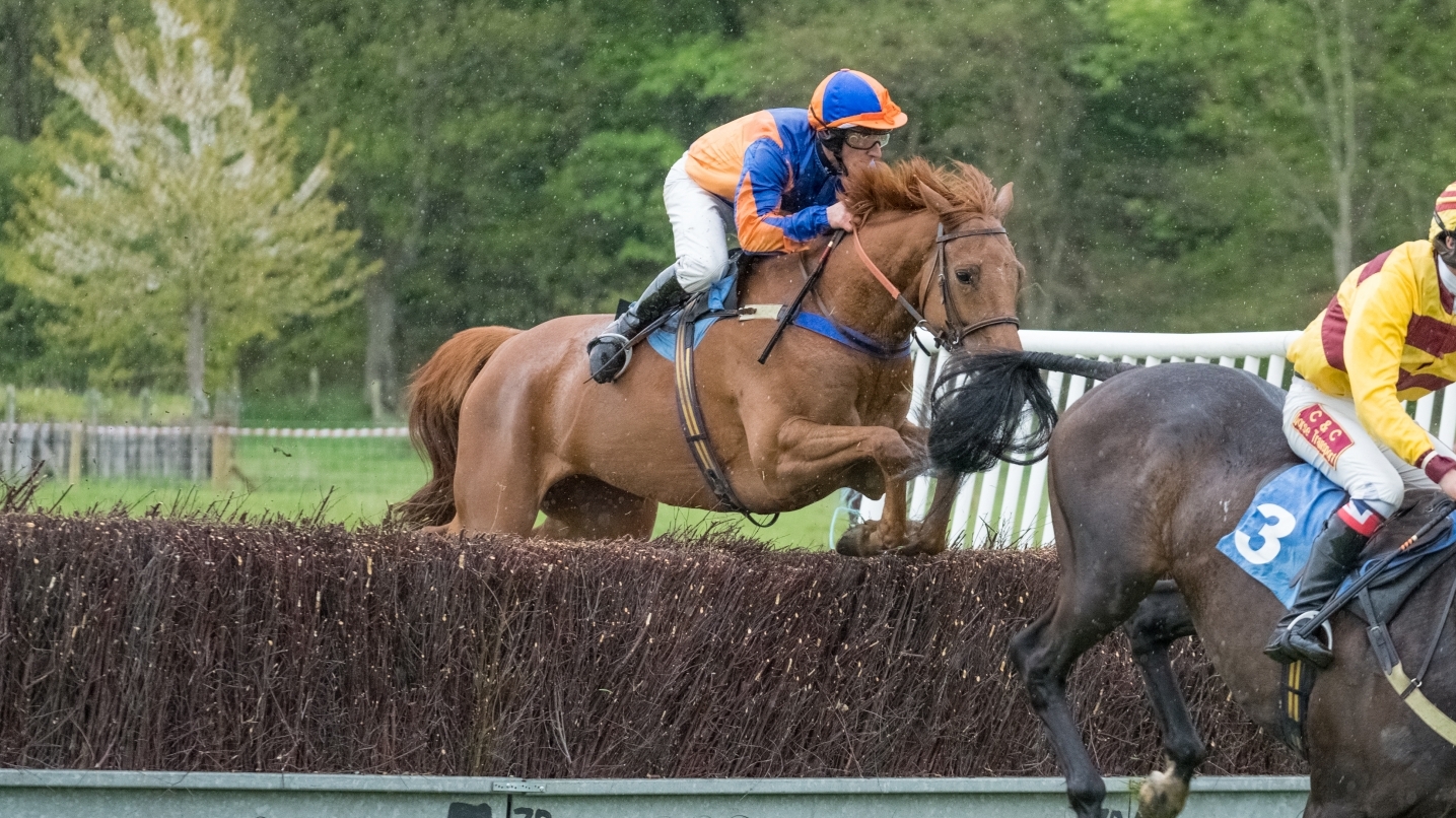Tim Easterby | Horses For Sale