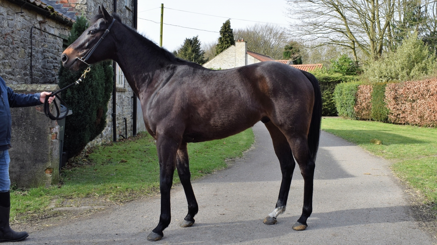 Tim Easterby | Racehorse Trainer | Habton Grange
