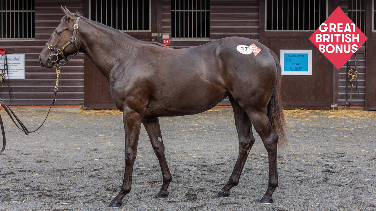 Tim Easterby | Racehorse Trainer | Habton Grange
