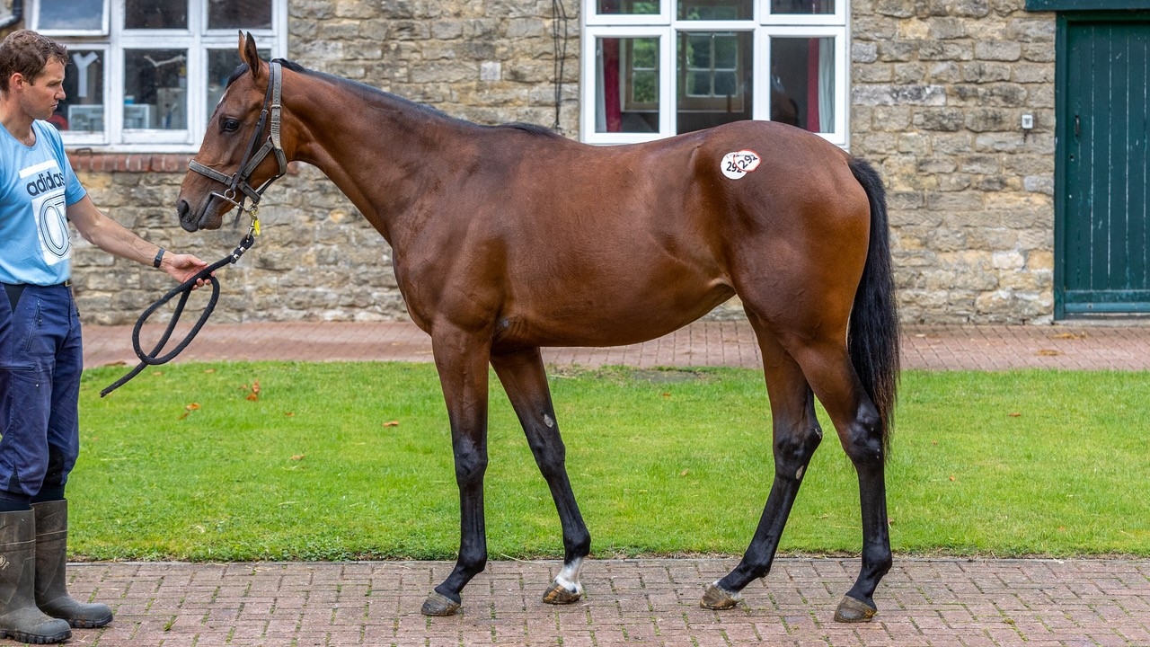 Tim Easterby | Racehorse Trainer | Habton Grange