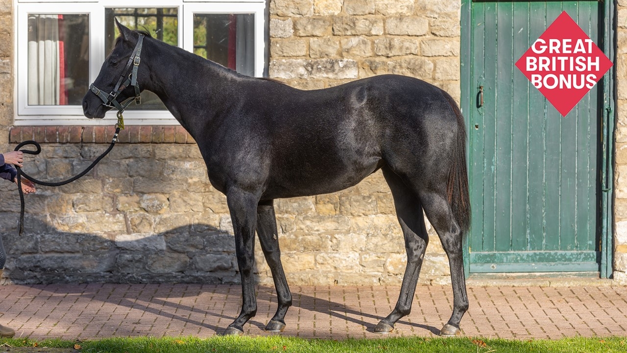 Tim Easterby | Racehorse Trainer | Habton Grange