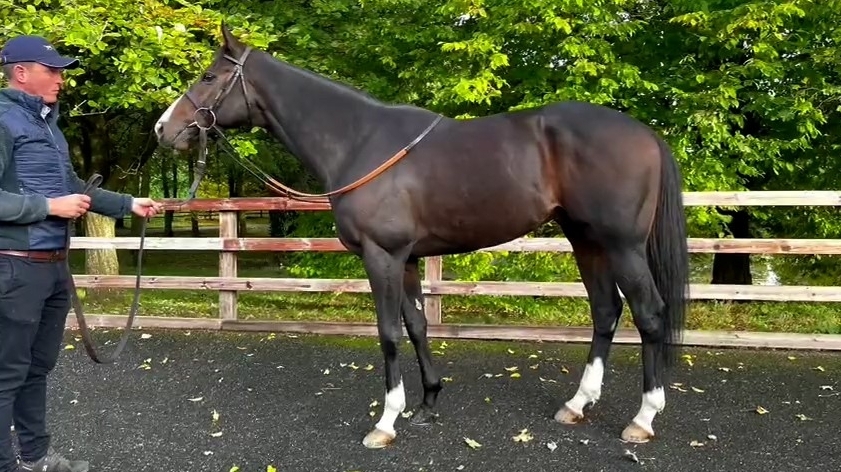 Tim Easterby | Racehorse Trainer | Habton Grange