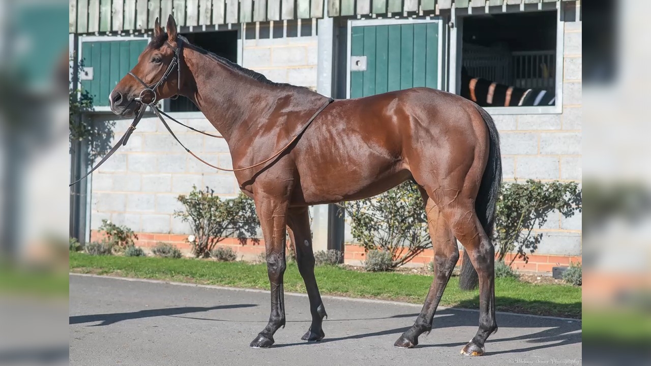 Tim Easterby | Racehorse Trainer | Habton Grange