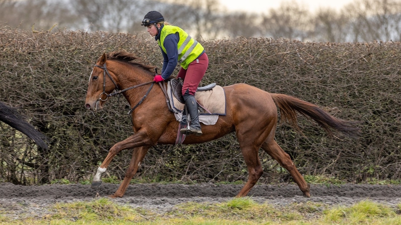 Tim Easterby | Racehorse Trainer | Habton Grange