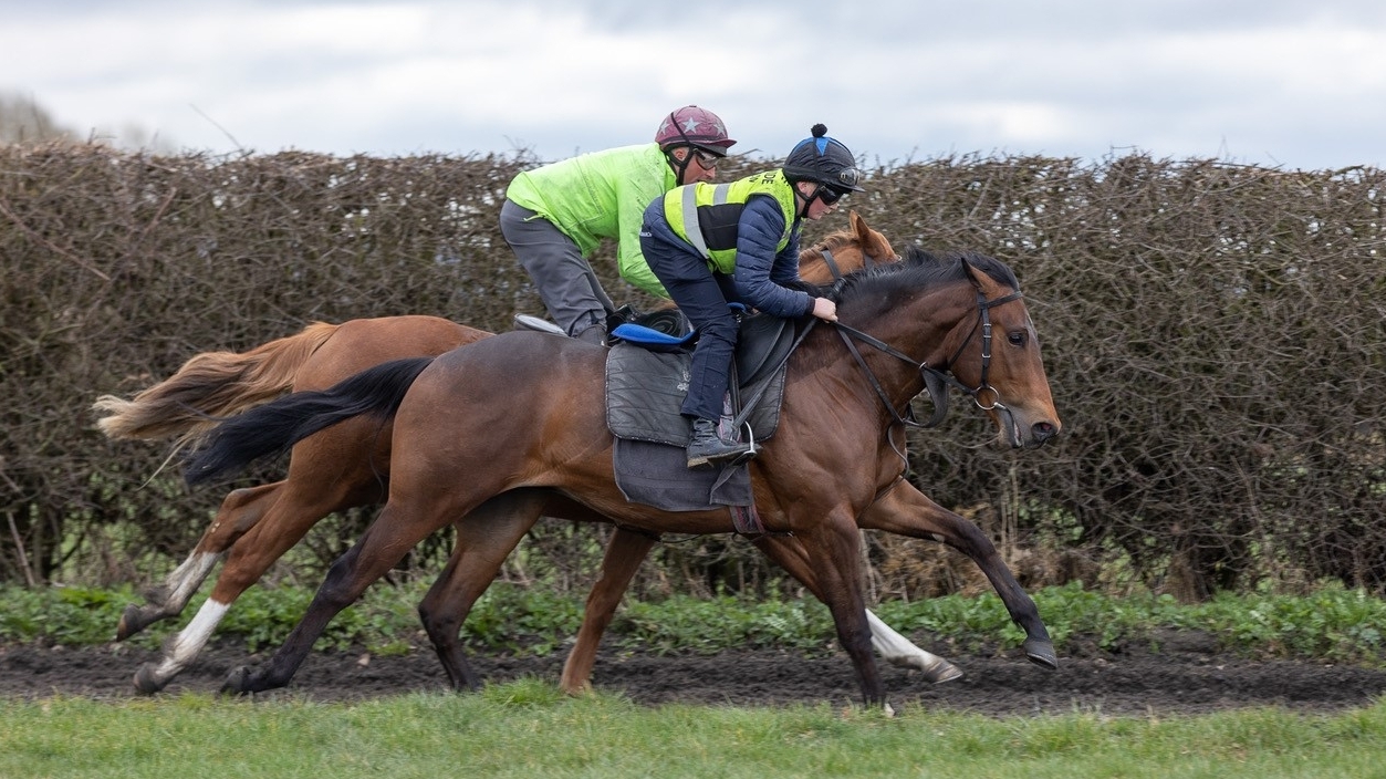 Tim Easterby | Racehorse Trainer | Habton Grange