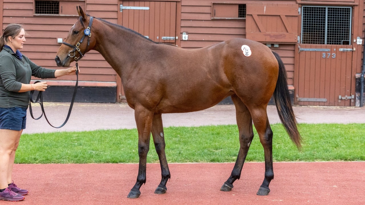 Tim Easterby | Racehorse Trainer | Habton Grange