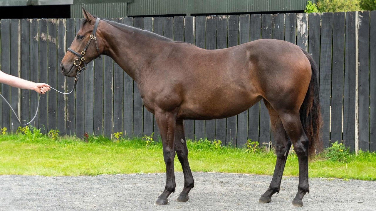 Tim Easterby | Racehorse Trainer | Habton Grange