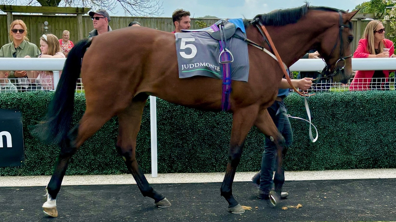 Tim Easterby | Racehorse Trainer | Habton Grange