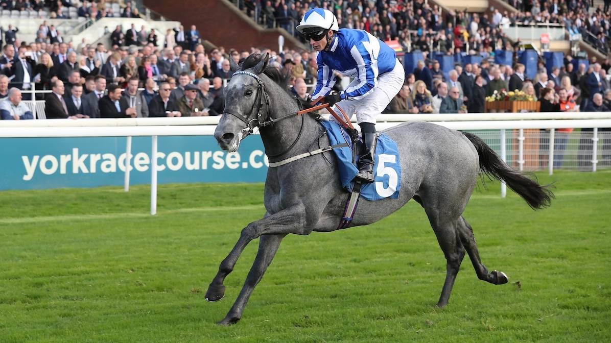 Tim Easterby | Success