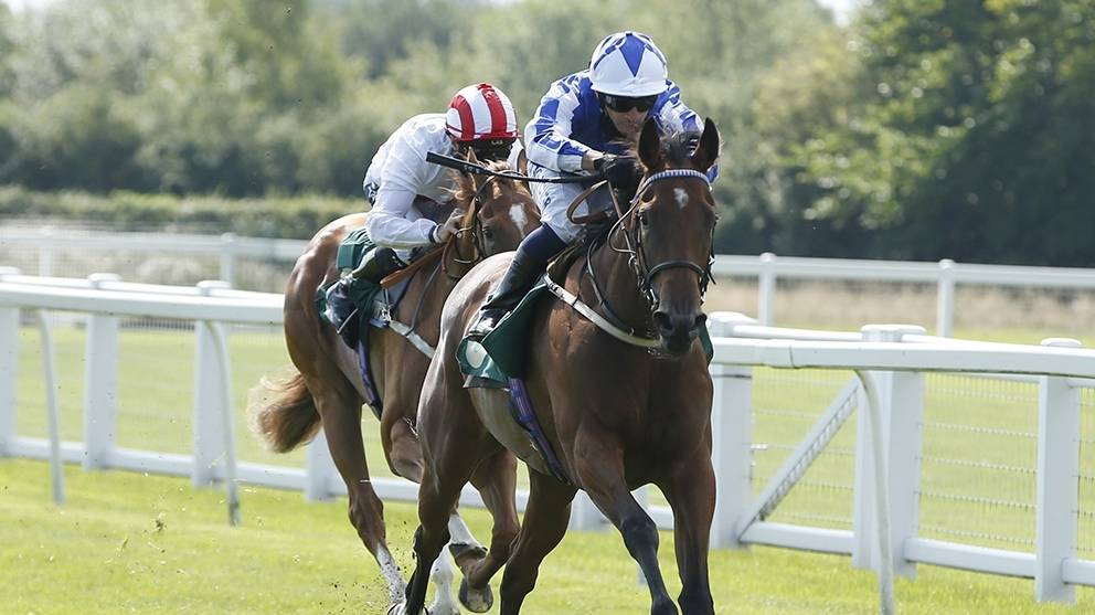 Tim Easterby | Success