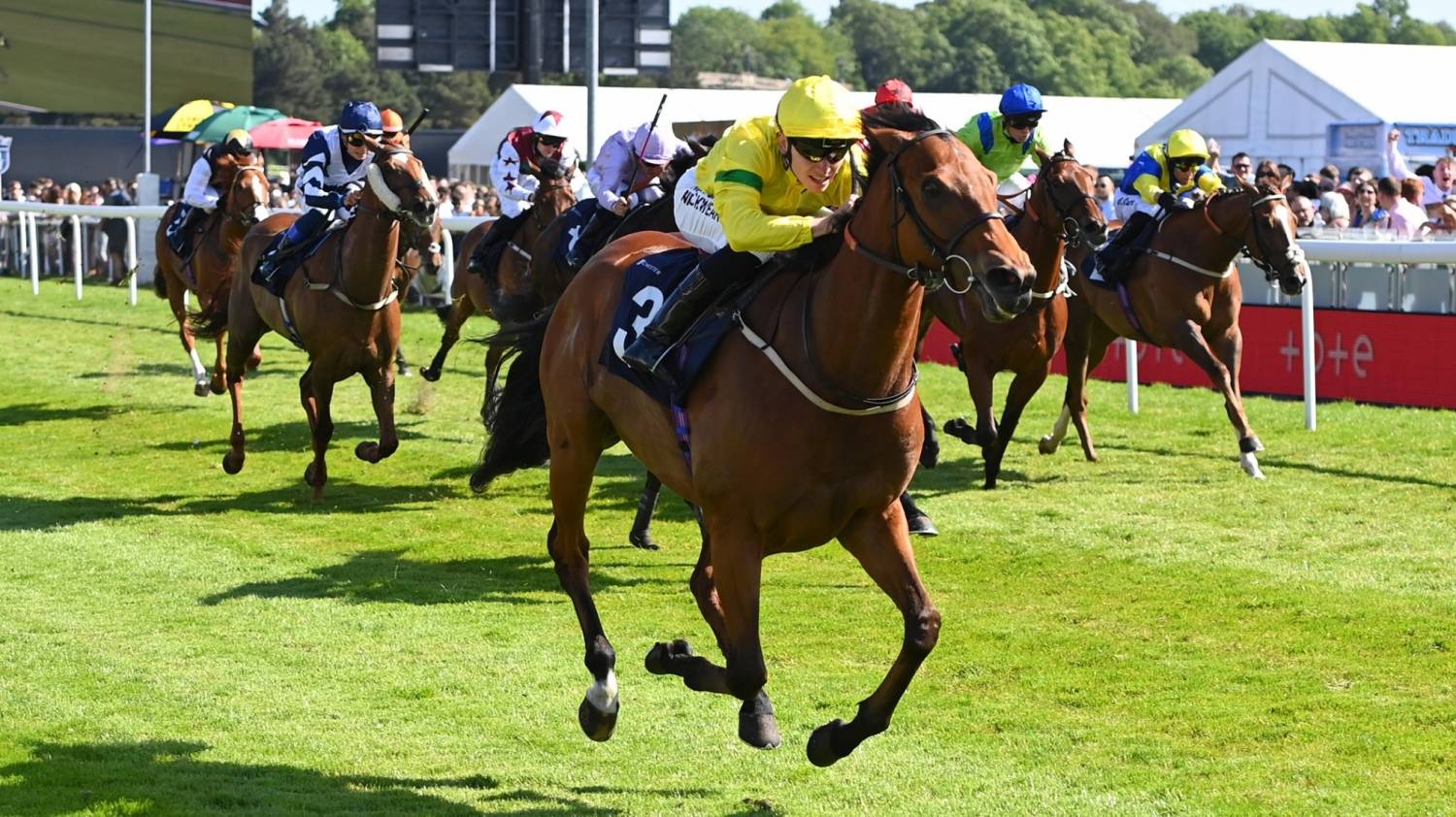 Coming from last to first under Phil Dennis