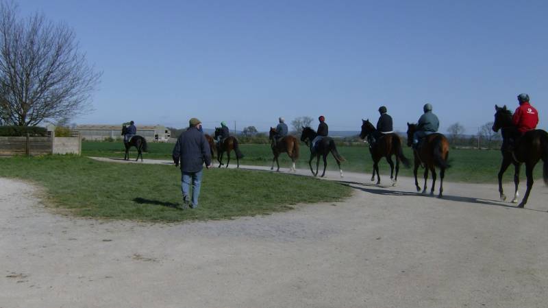 Tim Easterby | Racehorse Trainer | Habton Grange