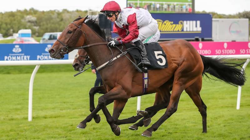 Tim Easterby | Racehorse Trainer | Habton Grange