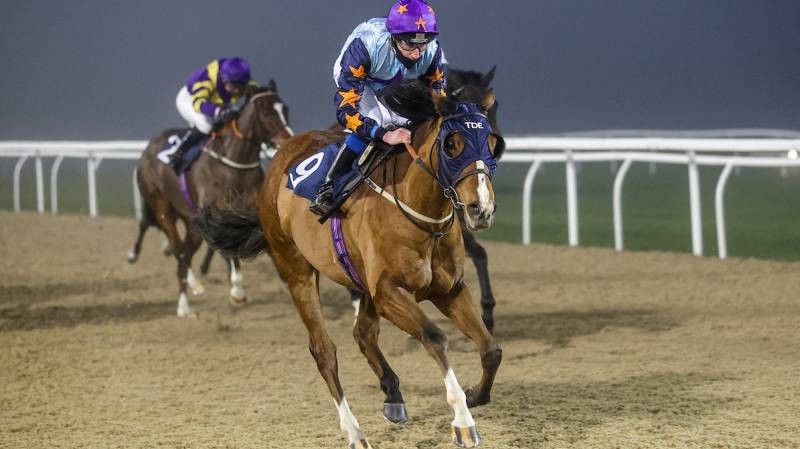 Tim Easterby | Racehorse Trainer | Habton Grange