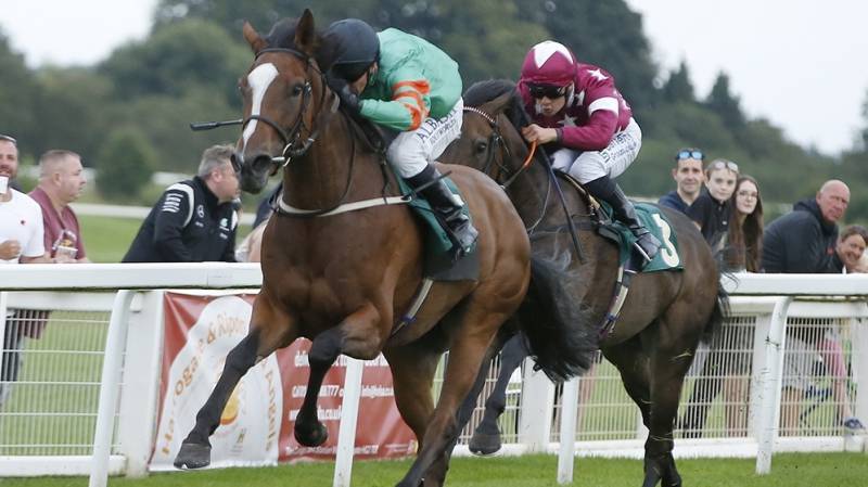 Tim Easterby | Horse Racing News