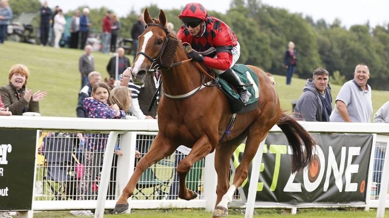 Tim Easterby | Horse Racing News