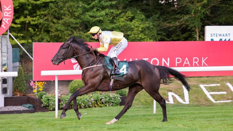 Tim Easterby | Horse Racing News