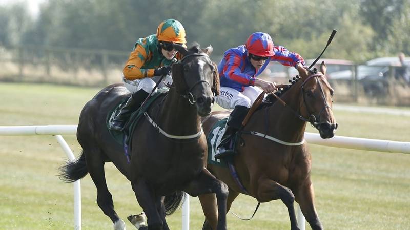 Tim Easterby | Horse Racing News