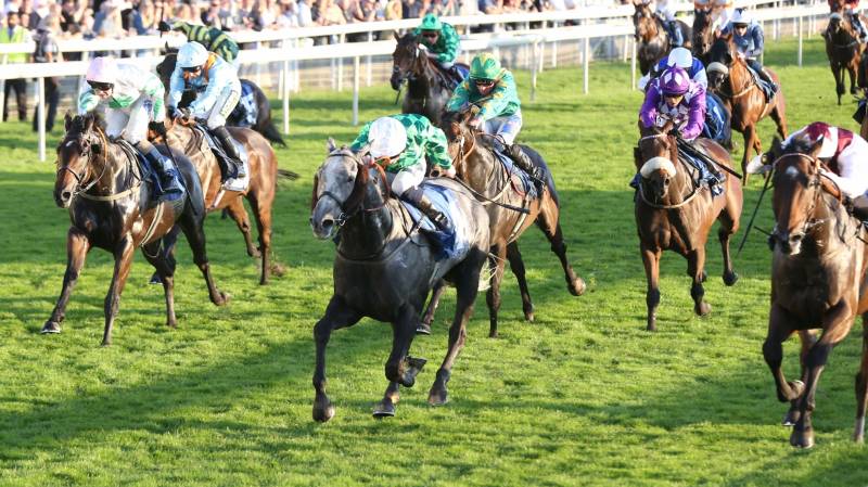 Tim Easterby | Horse Racing News