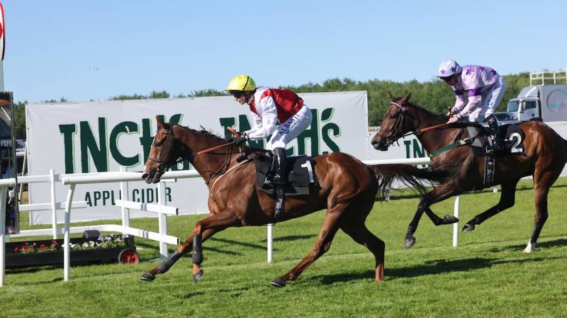 Tim Easterby | Horse Racing News