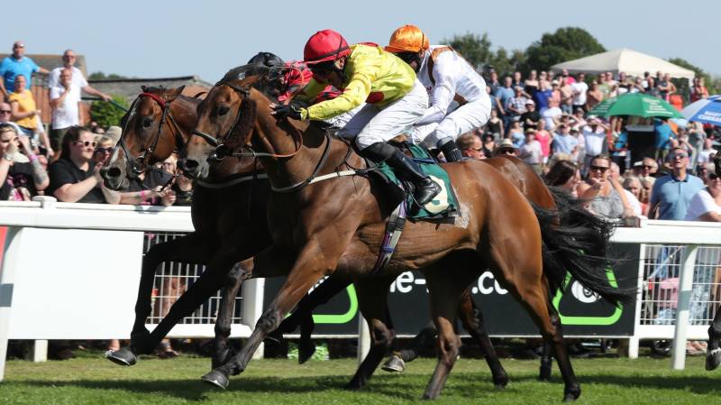 Tim Easterby | Racehorse Trainer | Habton Grange