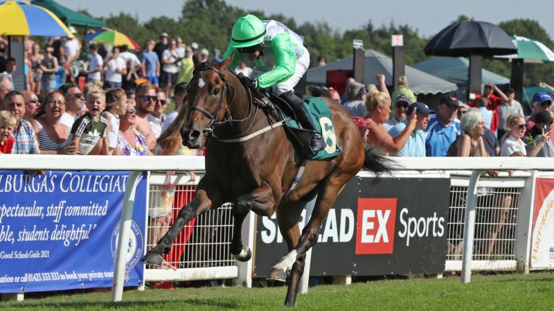 Tim Easterby | Racehorse Trainer | Habton Grange