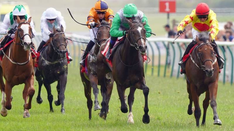 Tim Easterby | Racehorse Trainer | Habton Grange