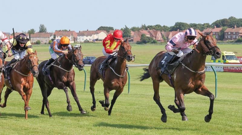 Tim Easterby | Racehorse Trainer | Habton Grange