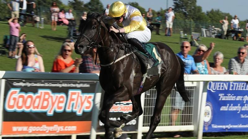 Tim Easterby | Horse Racing News