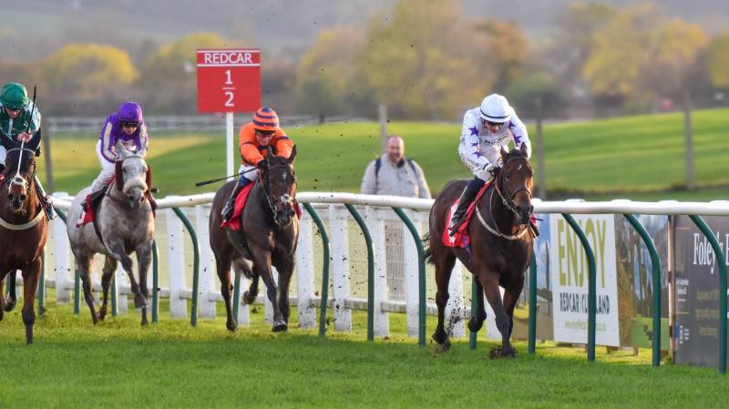 Tim Easterby | Racehorse Trainer | Habton Grange