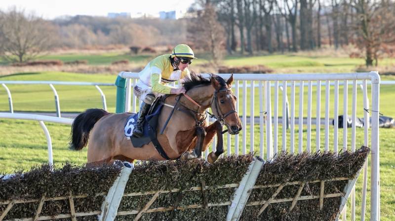 Tim Easterby | Racehorse Trainer | Habton Grange