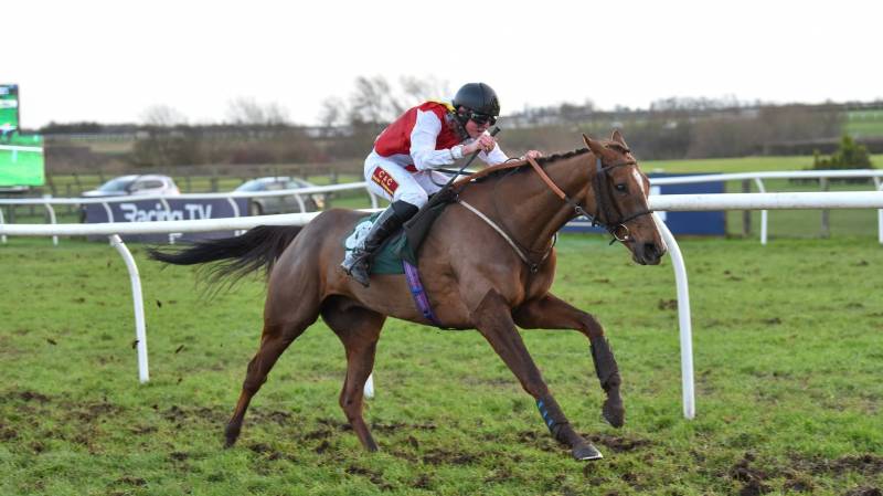 Tim Easterby | Racehorse Trainer | Habton Grange