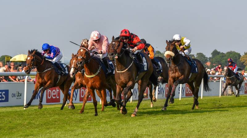 Tim Easterby | Horse Racing News