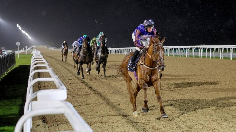 Tim Easterby | Horse Racing News