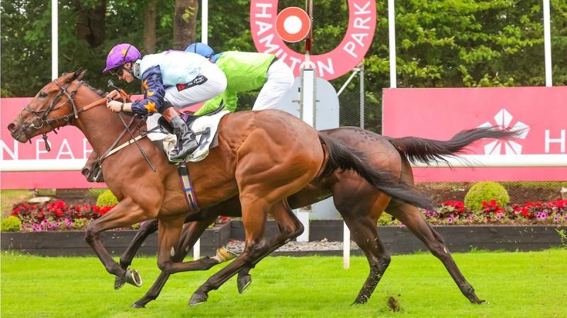 Tim Easterby | Horse Racing News