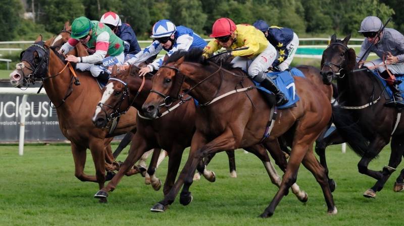 Tim Easterby | Horse Racing News